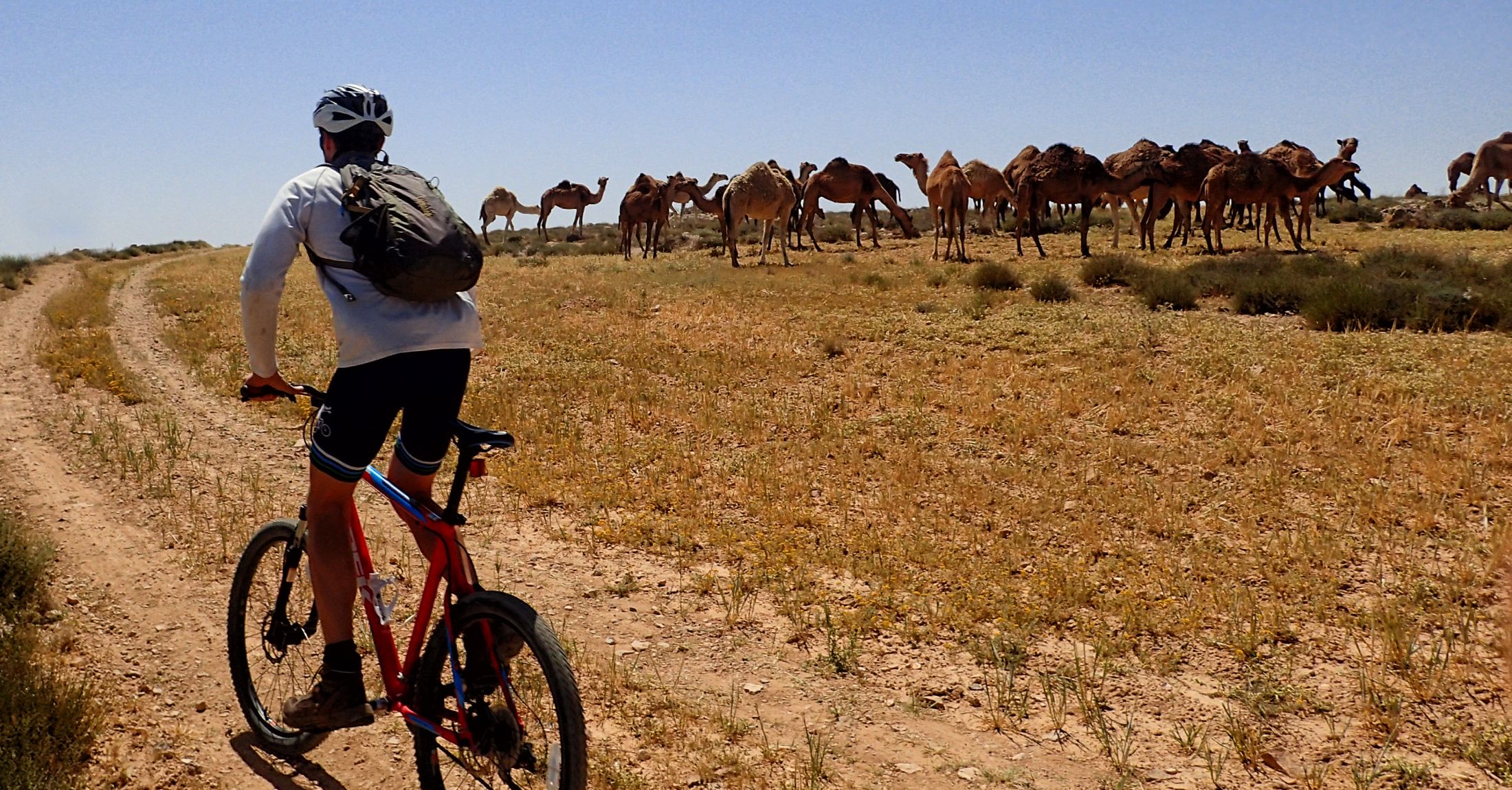 Guided Cycling Tour in Jordan - Love Velo